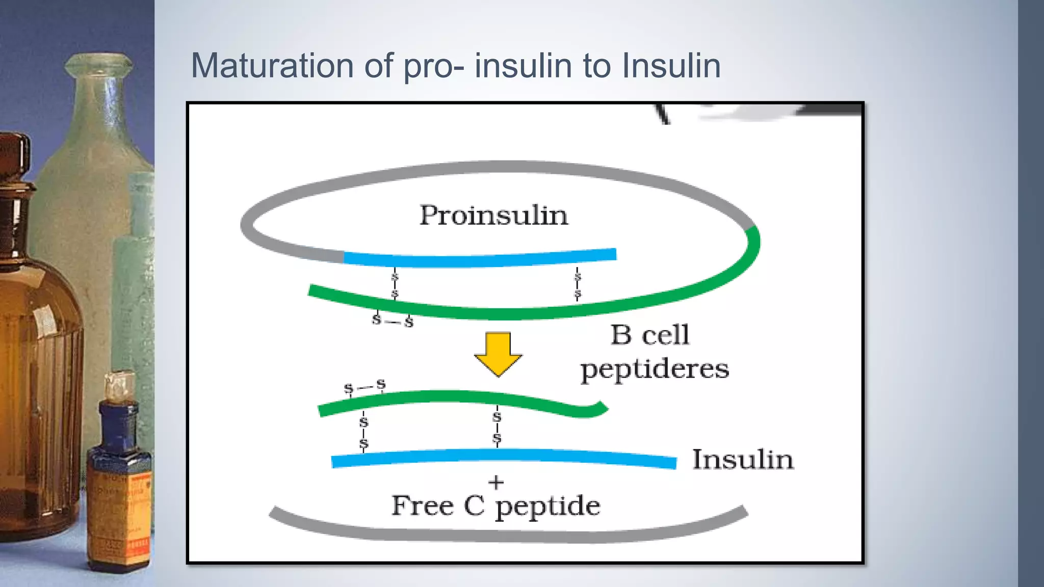 Biotechnology and its application ppt, Grade 12 CBSE | PPSX