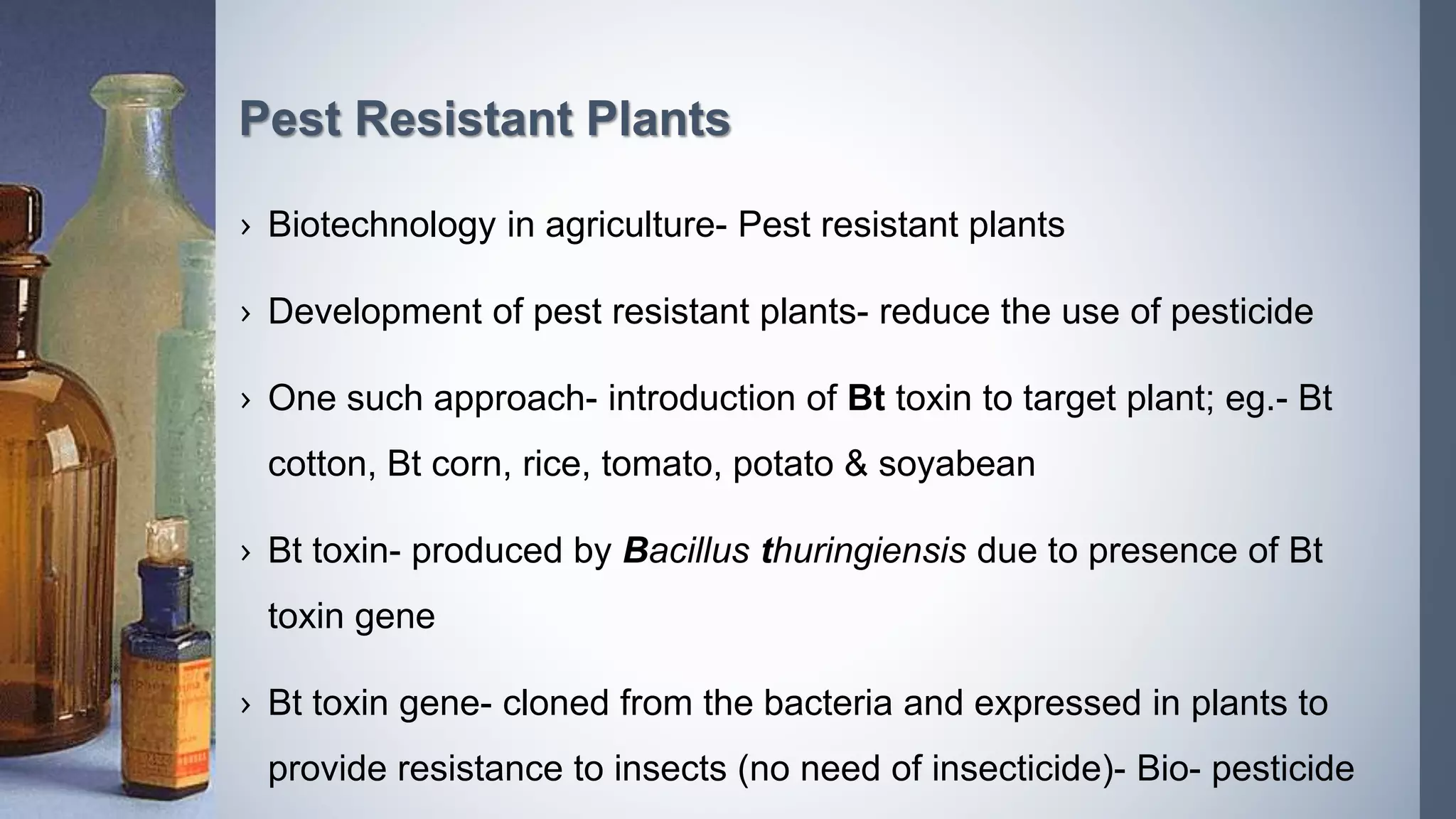 Biotechnology and its application ppt, Grade 12 CBSE | PPSX