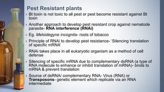 Biotechnology and its application ppt, Grade 12 CBSE | PPSX