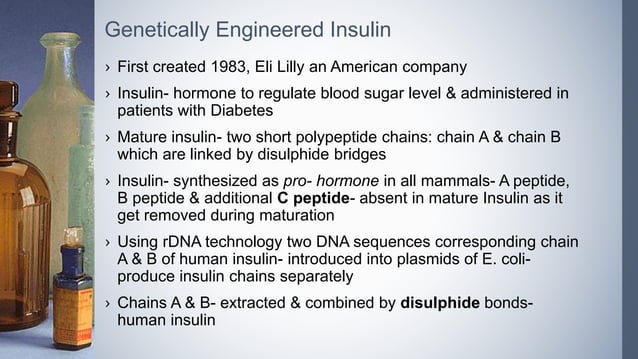 Biotechnology and its application ppt, Grade 12 CBSE | PPSX