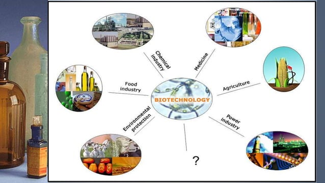 Biotechnology and its application ppt, Grade 12 CBSE | PPSX