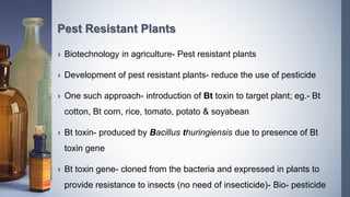 Biotechnology and its application ppt, Grade 12 CBSE | PPSX