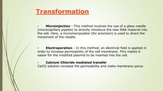 Biotechnology and recombinant dna technique(UOG) | PPTX