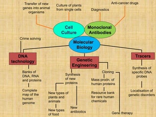 Biotechnology an overview | PPTX