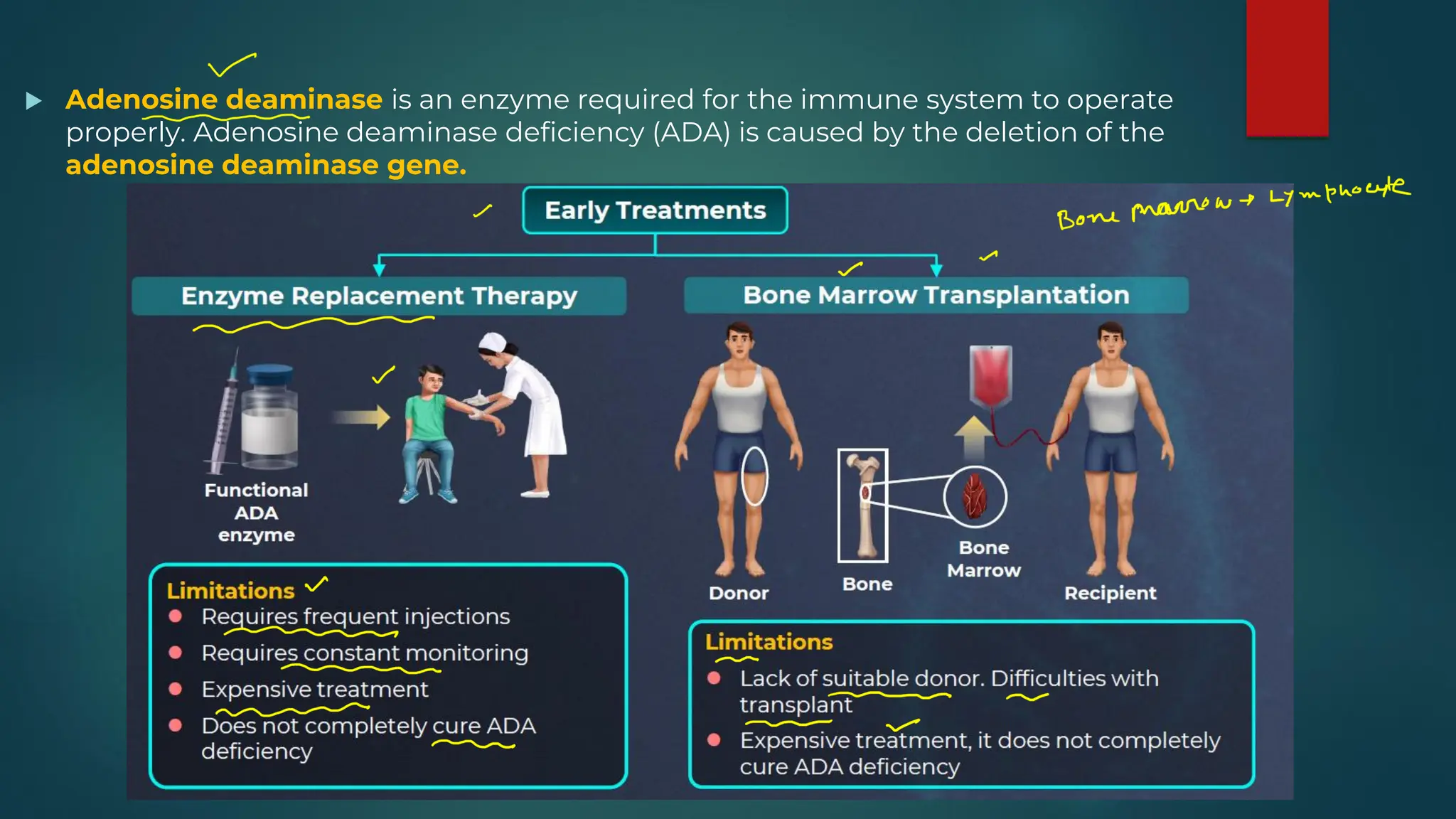 biotechnology application for class 12 science | PDF
