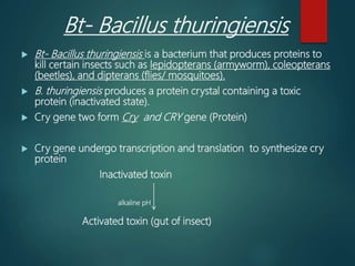 Biotechnology applications in agriculture | PPTX