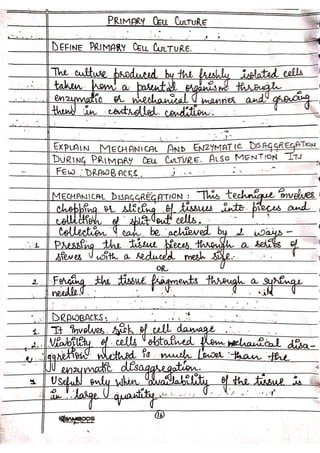 Biotechnology Diwali holiday homework question.pdf