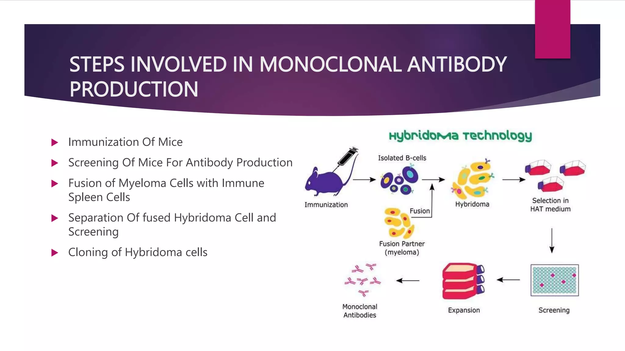 biotechnology final.pptx