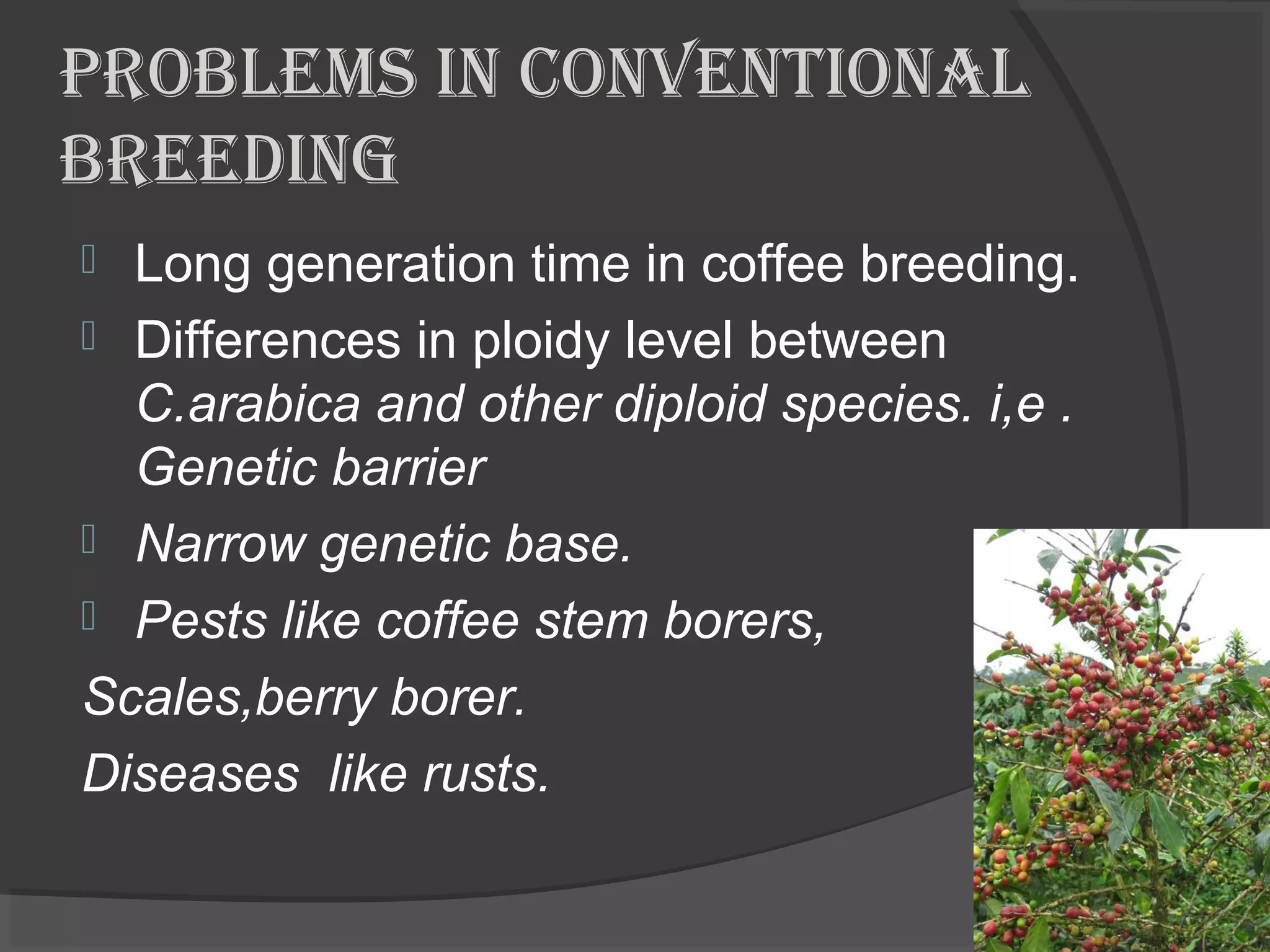 Biotechnology in coffee breeding | PPT