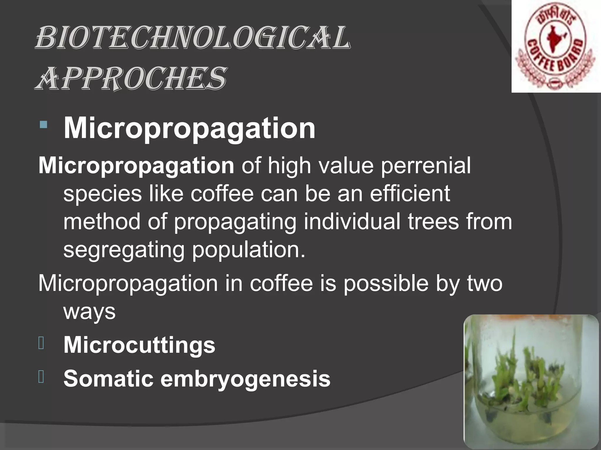 Biotechnology in coffee breeding | PPT