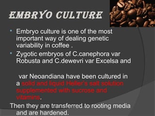 Biotechnology in coffee breeding | PPT