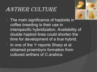 Biotechnology in coffee breeding | PPT