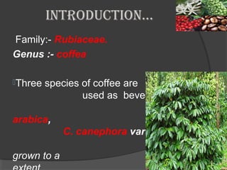 Biotechnology in coffee breeding | PPT