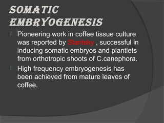 Biotechnology in coffee breeding | PPT