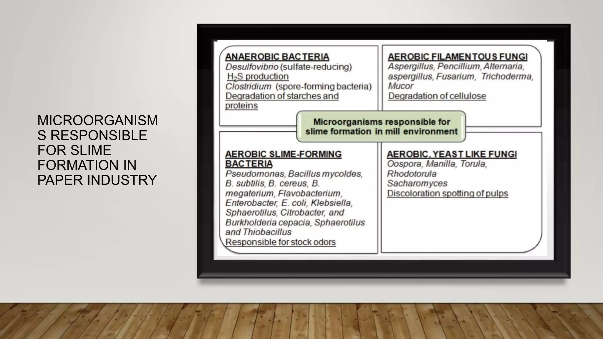 BIOTECHNOLOGY IN SLIME PROBLEM.ppt
