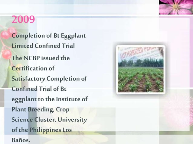 Biotechnology in the Philippines | PPTX | Biotech and Biomedical ...