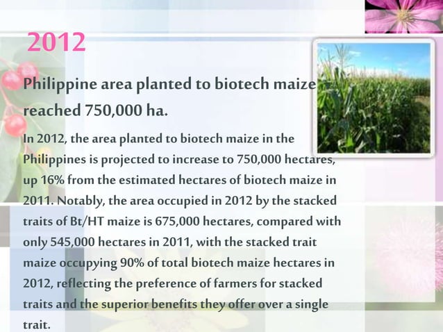 Biotechnology in the Philippines | PPTX | Biotech and Biomedical ...