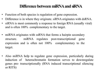 Biotechnology lecture | PPT