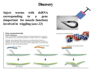 Biotechnology lecture | PPT