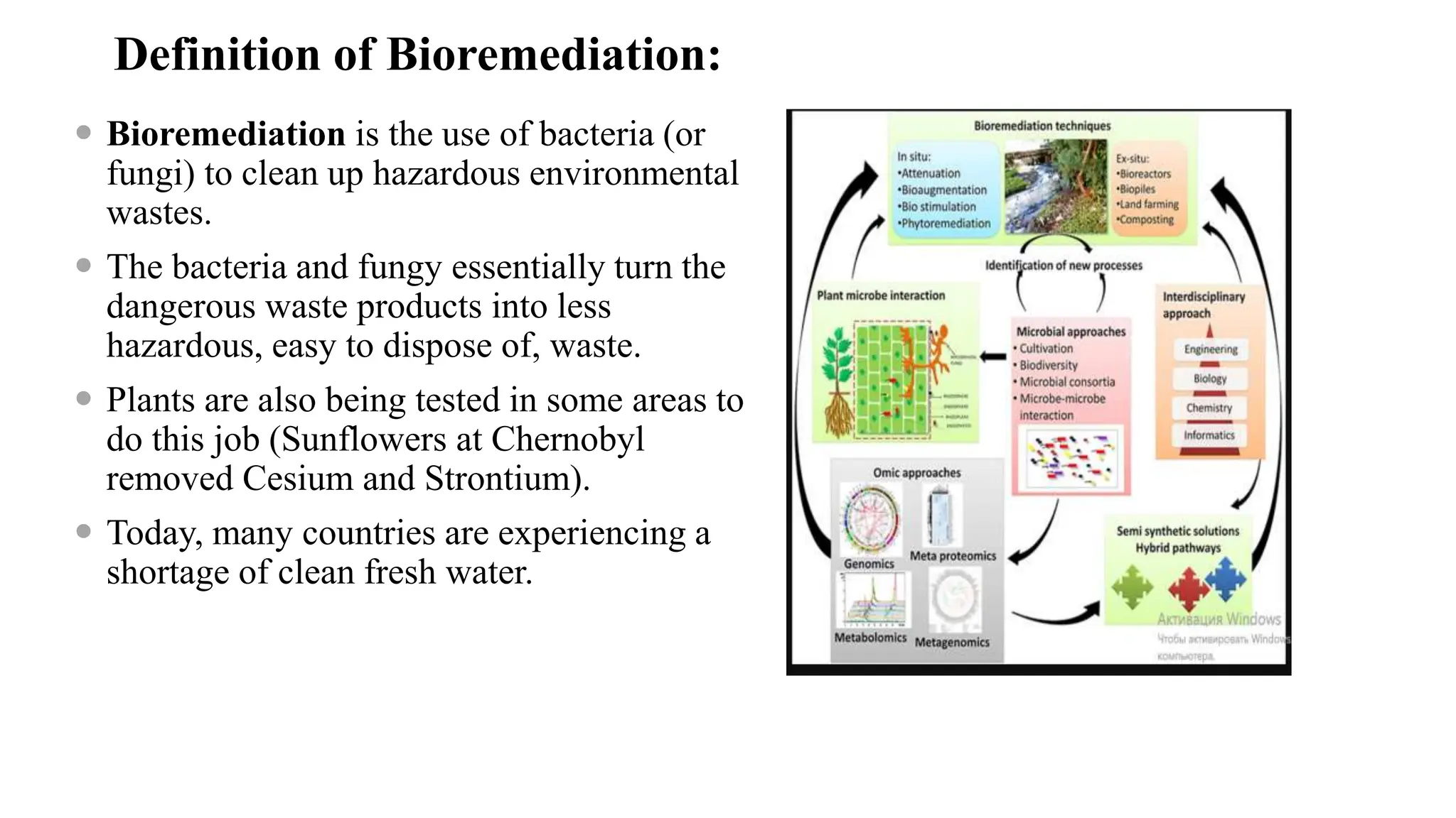 Biotechnology microorganisms in environmental protection.ppt