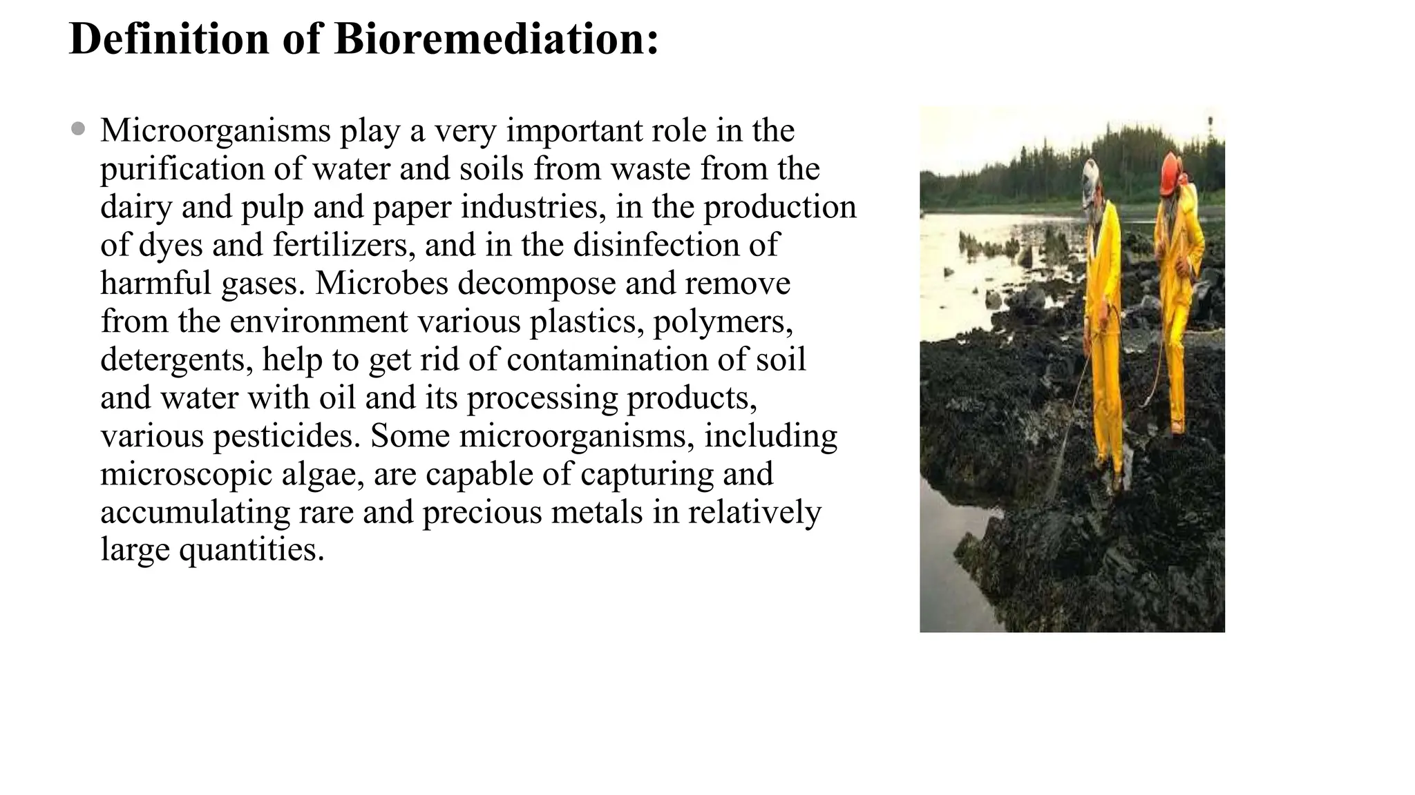 Biotechnology microorganisms in environmental protection.ppt