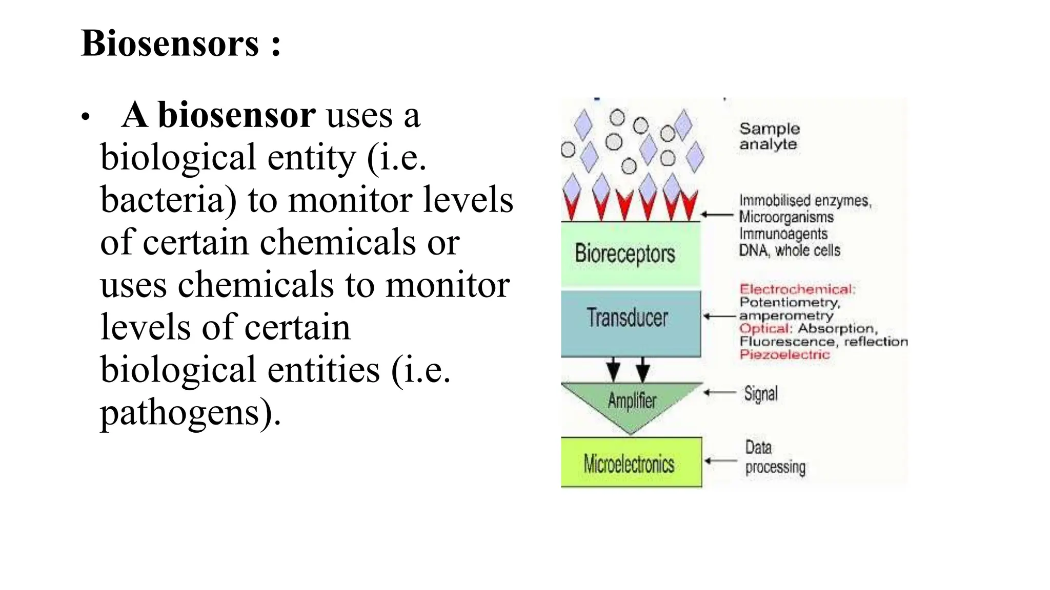 Biotechnology microorganisms in environmental protection.ppt