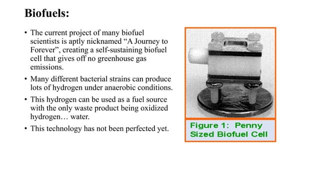 Biotechnology microorganisms in environmental protection.ppt