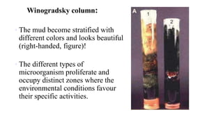 Biotechnology microorganisms in environmental protection.ppt