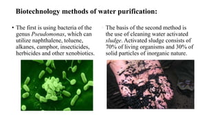 Biotechnology microorganisms in environmental protection.ppt