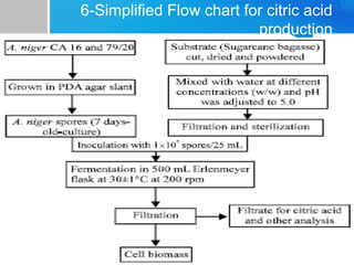 Biotechnology of citric acid production | PPT