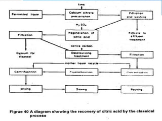 Biotechnology of citric acid production | PPT