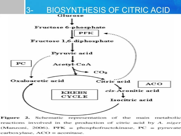 Biotechnology of citric acid production