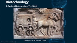 Biotechnology : The Past and The Present | PPT