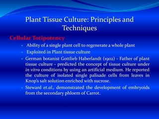 BIOTECHNOLOGY: PLANT TISSUE CULTURE SMG | PPTX