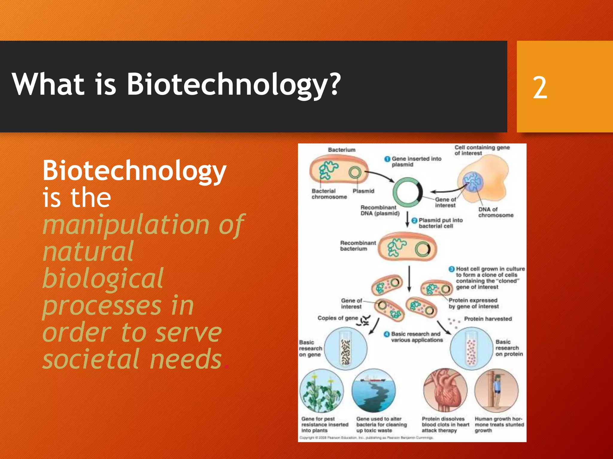 Biotechnology PP_Genetic Engineering_RD.pptx