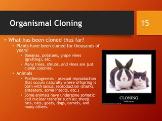 Biotechnology PP_Genetic Engineering_RD.pptx