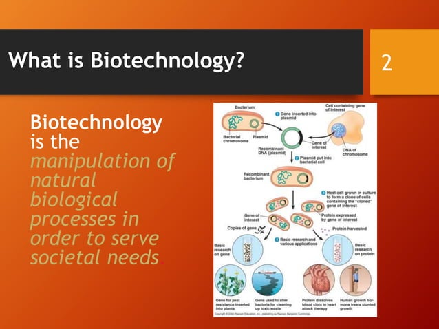 Biotechnology PP_Genetic Engineering_RD.pptx