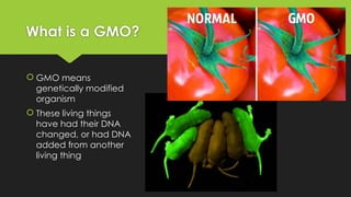 Biotechnology PPT for eighth grade science.pptx