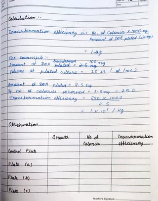 Biotechnology Practical .pdf | Free Download