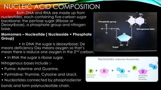 Structural Organization Of Nucleic Acids | PDF