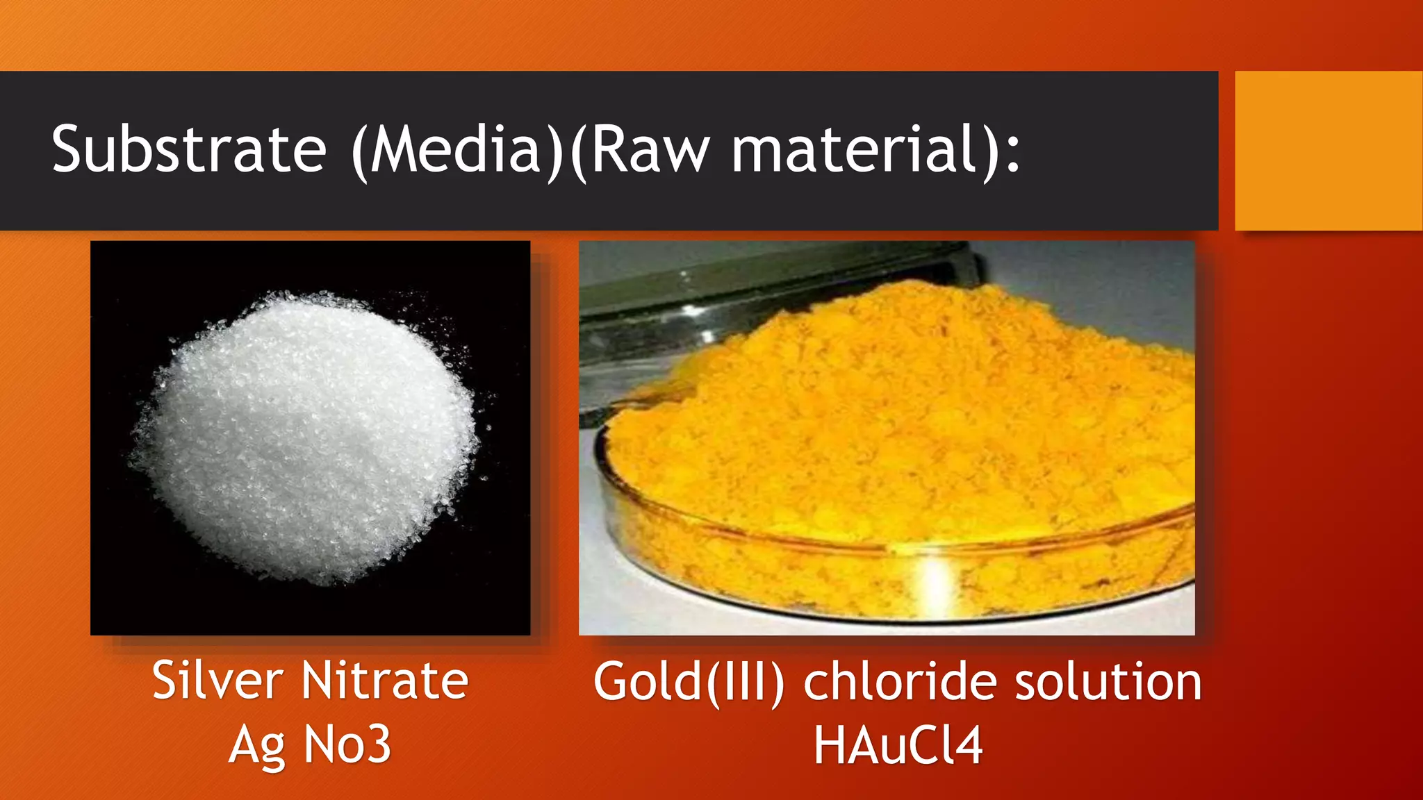 Silver, gold and bimetallic nanoparticles production using single-cell ...