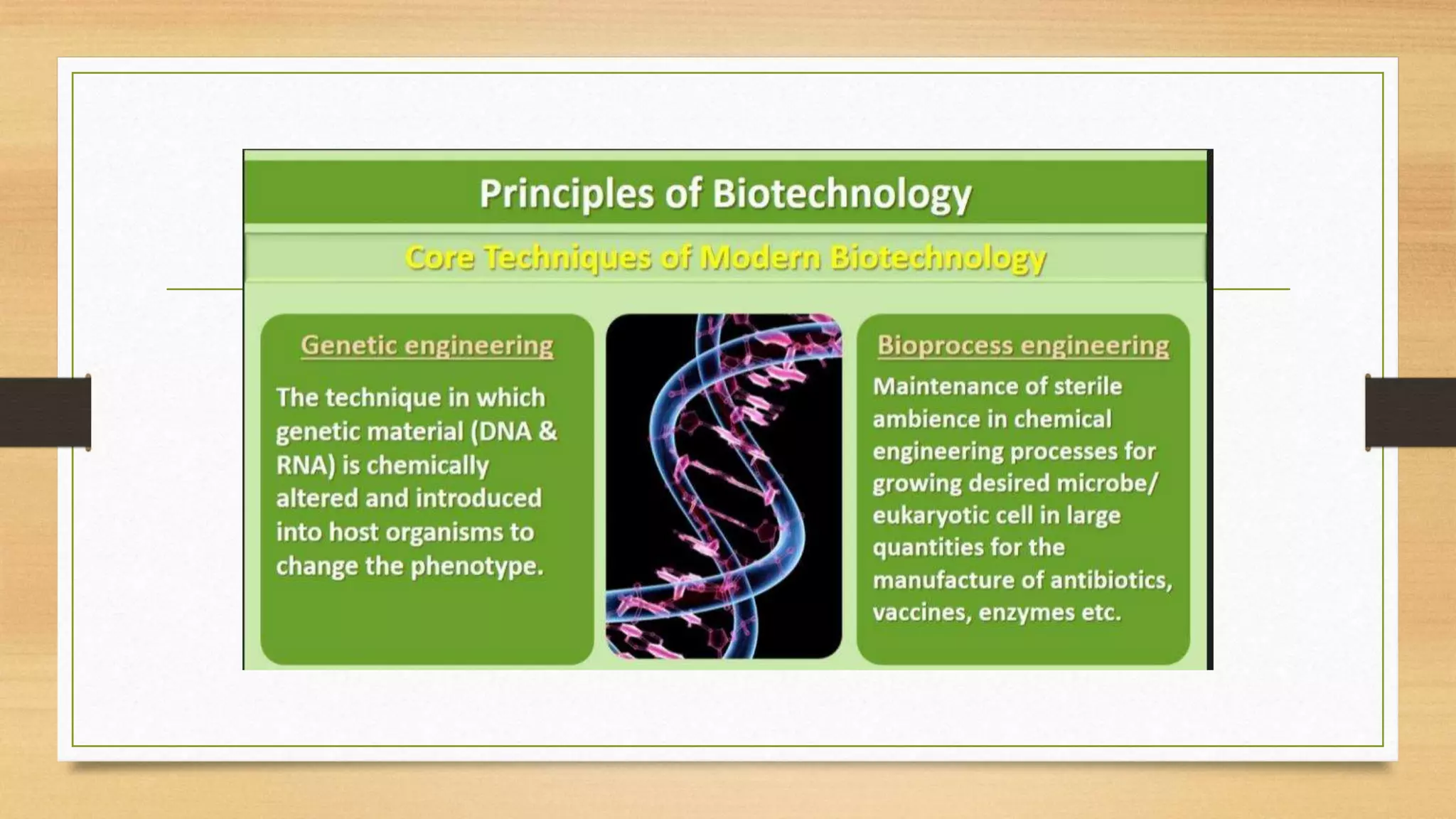 Biotechnology Principles and processes.pptx