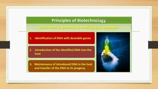 Biotechnology Principles and processes.pptx