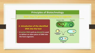 Biotechnology Principles and processes.pptx
