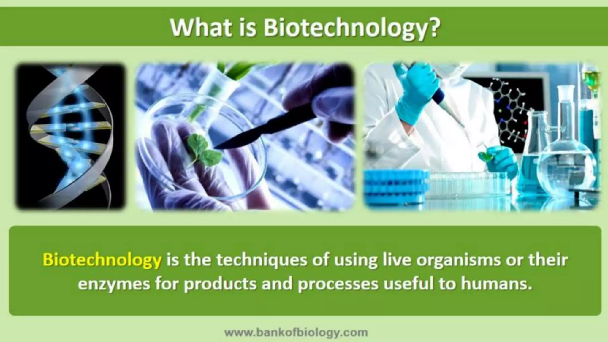 Biotechnology: Principles and Processes [Courtesy - BANK OF BIOLOGY ...