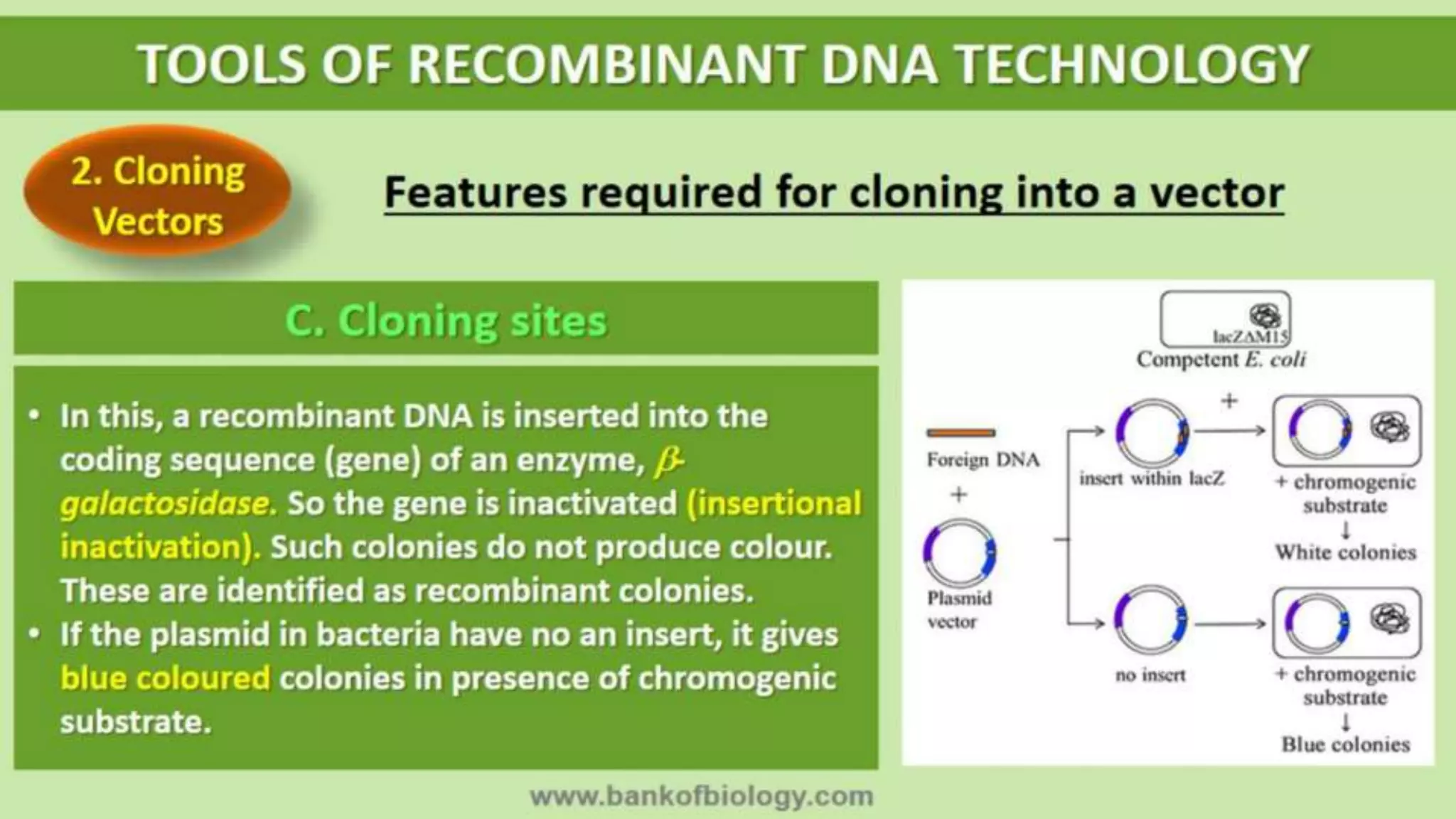 Biotechnology: Principles and Processes [Courtesy - BANK OF BIOLOGY] | PPTX