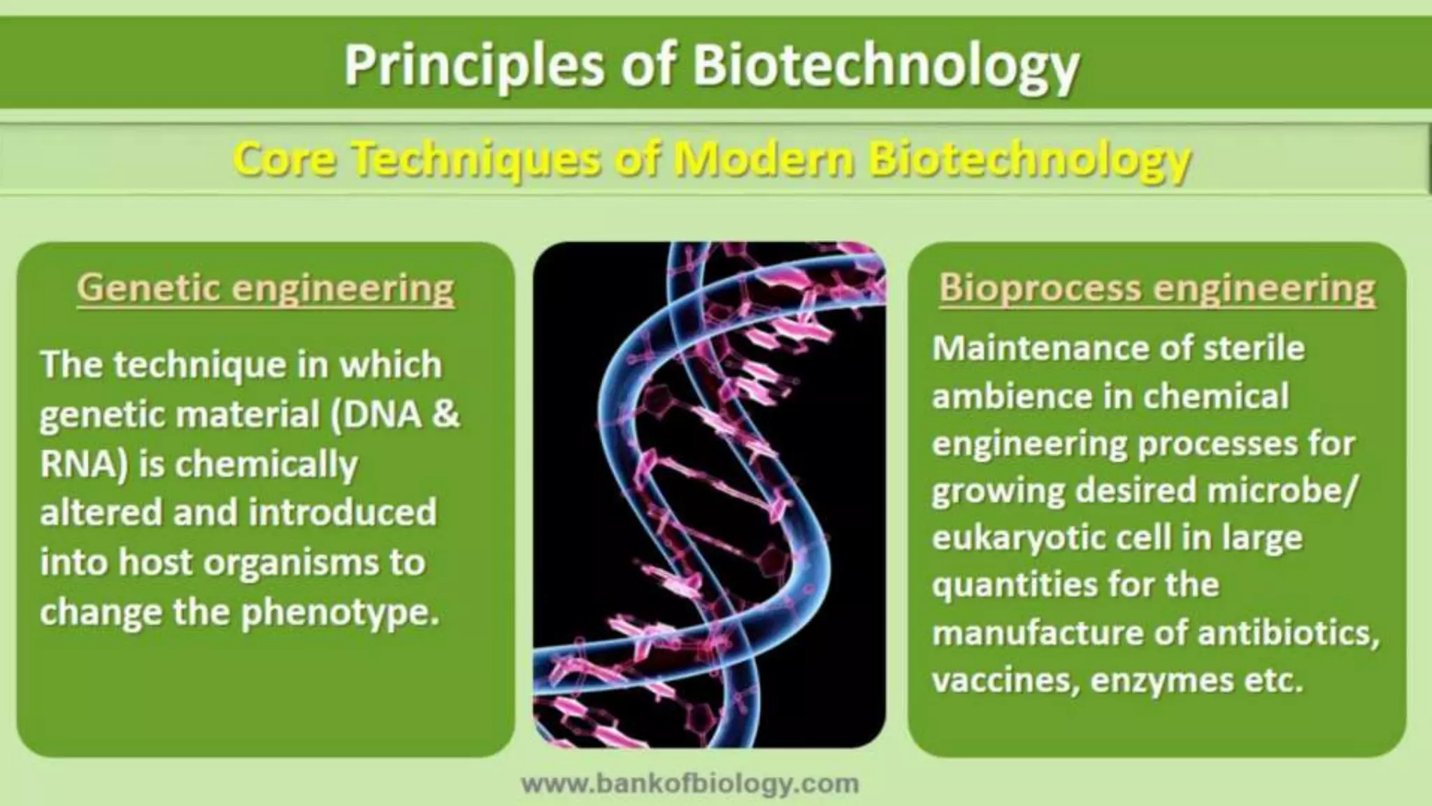 Biotechnology: Principles and Processes [Courtesy - BANK OF BIOLOGY] | PPTX