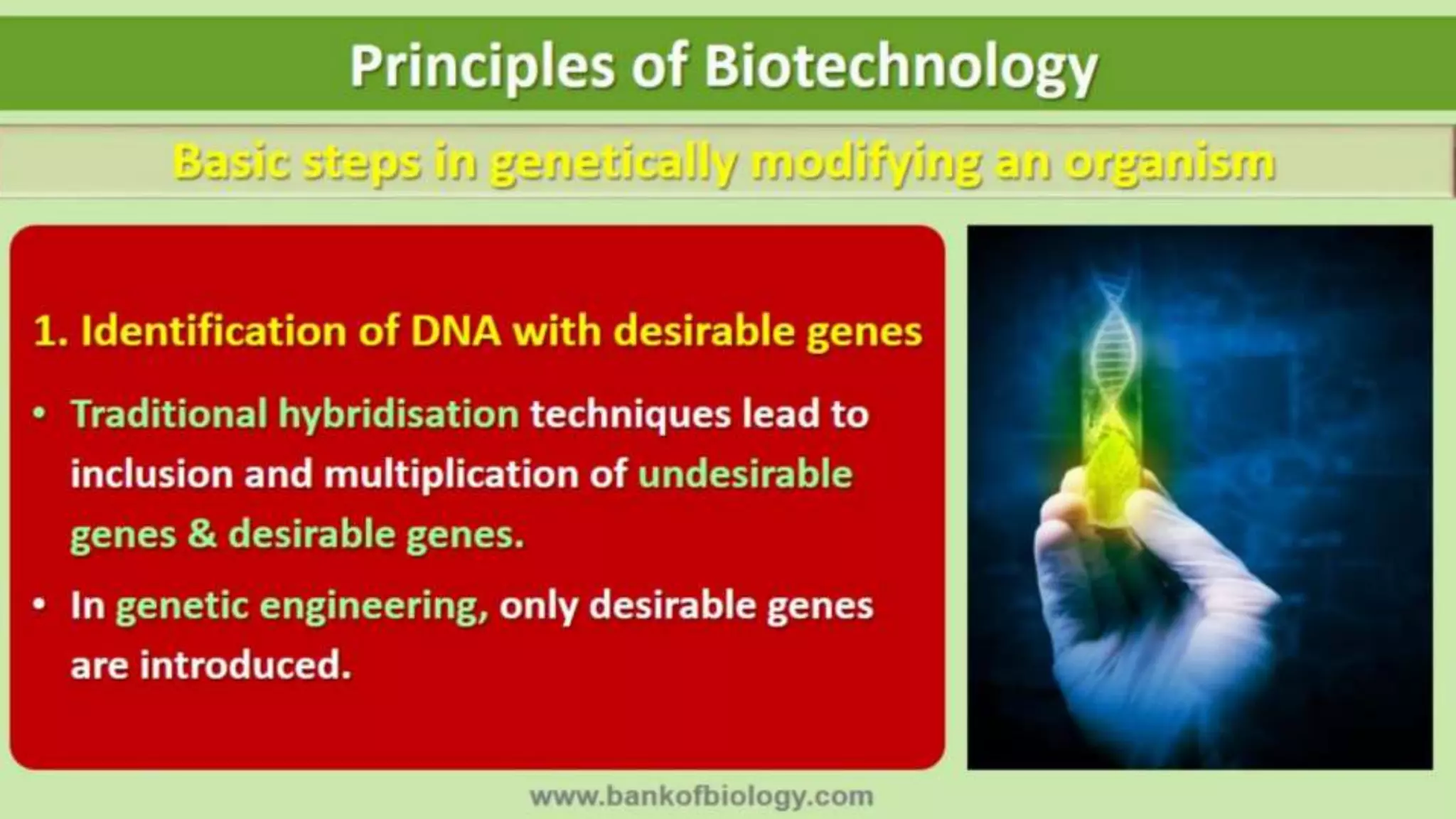 Biotechnology: Principles and Processes [Courtesy - BANK OF BIOLOGY] | PPTX