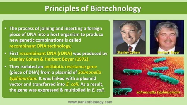 Biotechnology: Principles and Processes [Courtesy - BANK OF BIOLOGY ...