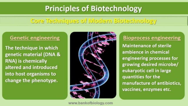Biotechnology: Principles and Processes [Courtesy - BANK OF BIOLOGY ...